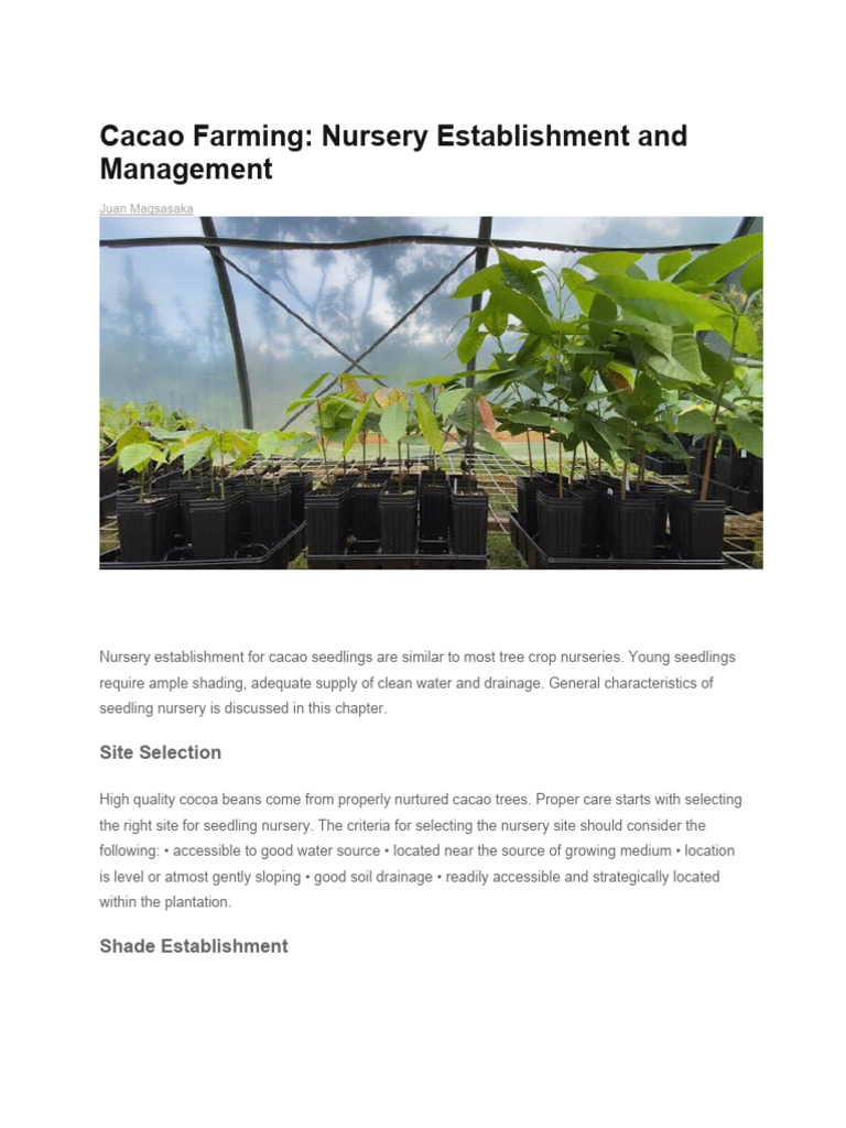 Cacao Farming Nursery Management | PDF | Plant Nursery | Cocoa Bean