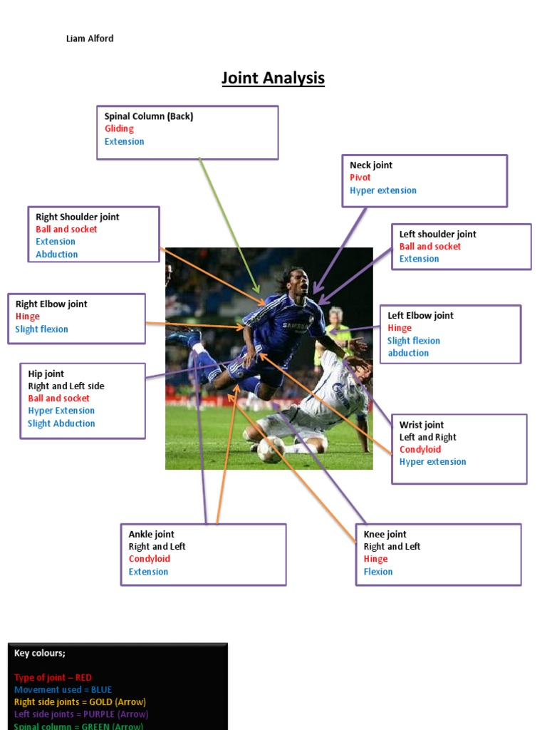 Joint Analysis | PDF | Sports & Recreation