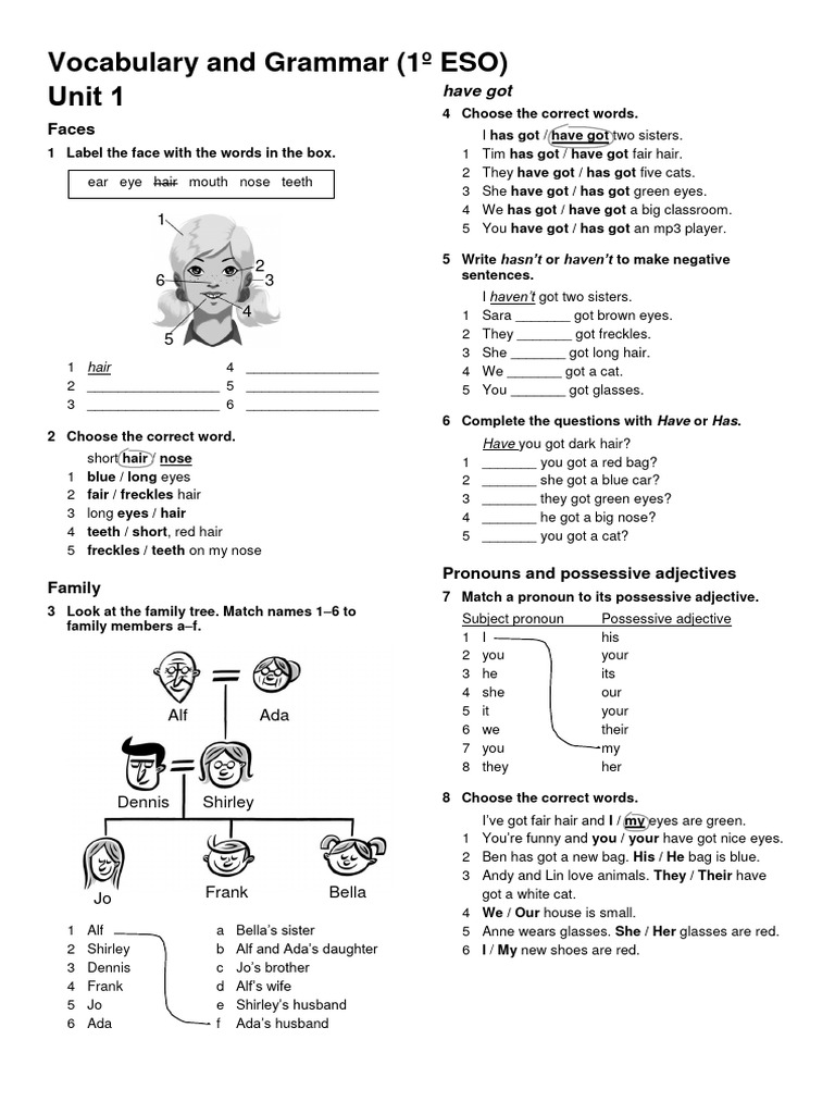 1º ESO Activities. Grammar and Vocabulary | PDF