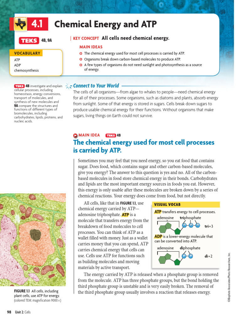 Chapter 4.1 - Student Edition | PDF