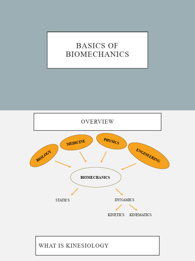 Introduction to Biomechanics Basics | PDF | Anatomical Terms Of Motion ...