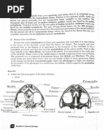 Kaplan Anatomy Coloring Book | PDF | Foot | Human Leg