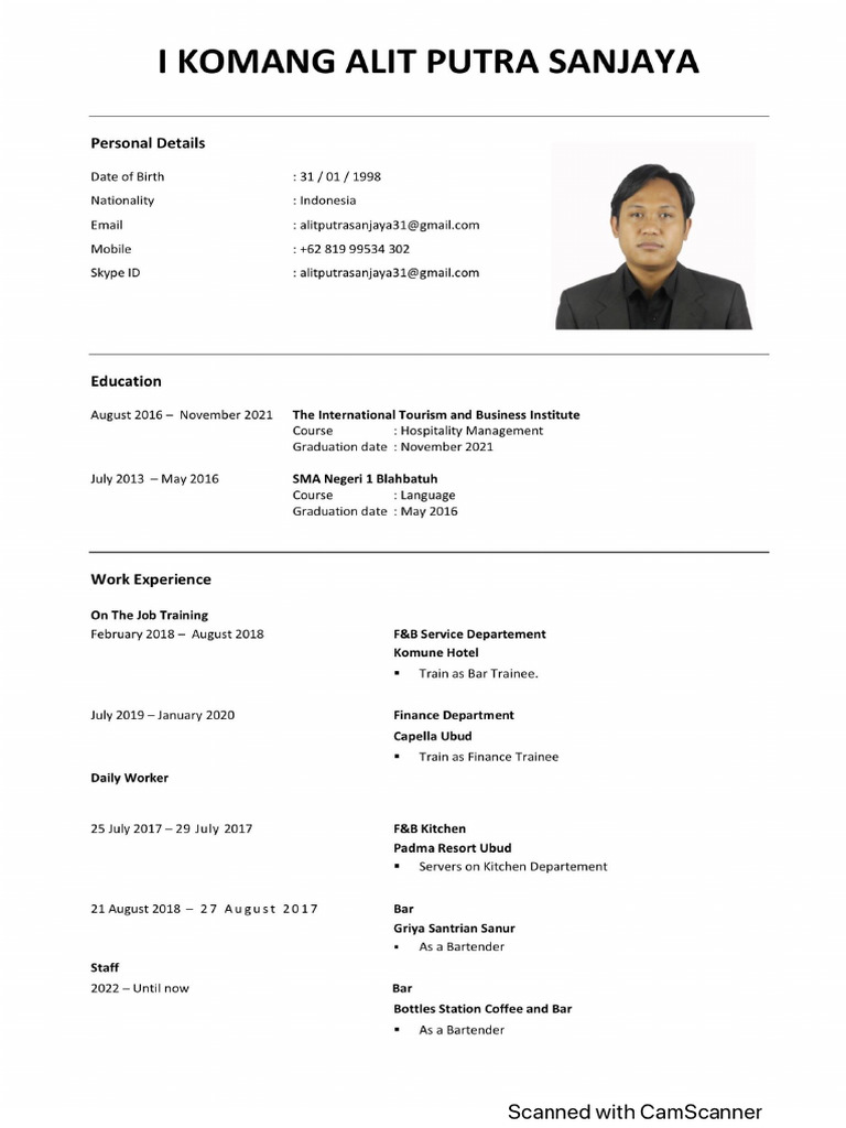 CV - I Komang Alit Putra Sanjaya 2 | PDF