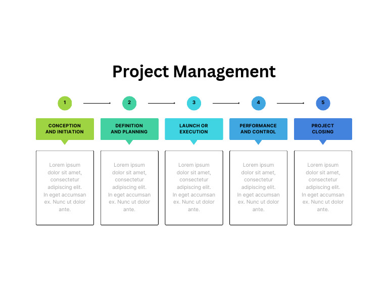Modern Project Management Process Infographic Graph | PDF