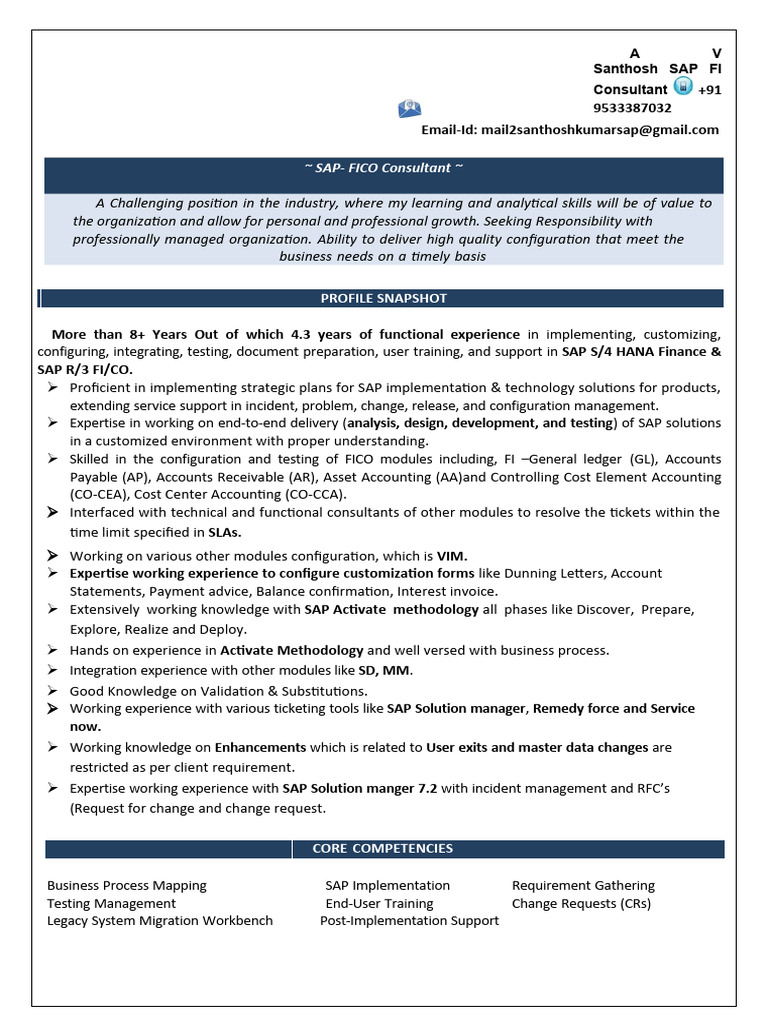 Avsk S4 Hana | PDF | Accounts Payable | Consultant