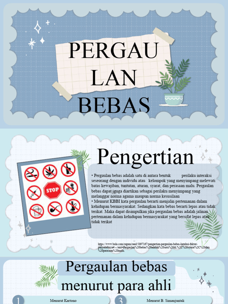 Pergaulan Bebas | PDF