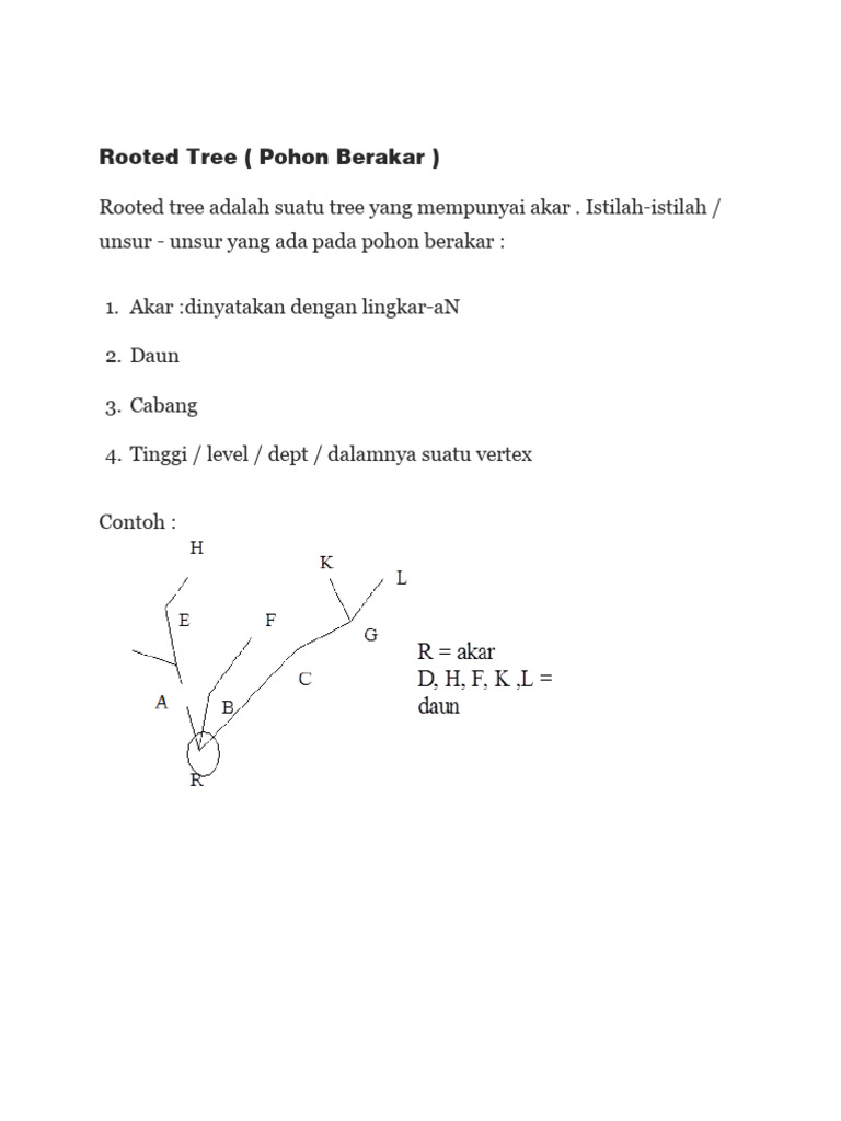 Pohon Berakar: Struktur dan Sifatnya | PDF | Griya & Taman
