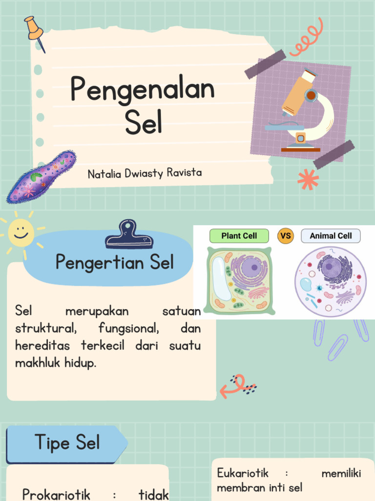 Pengenalan sel_8 SMP (1) (1) | PDF