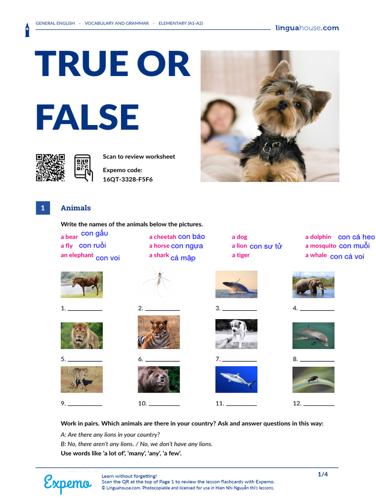 True or False British English Student Ver2 | Download Free PDF | Consonant | Syllable