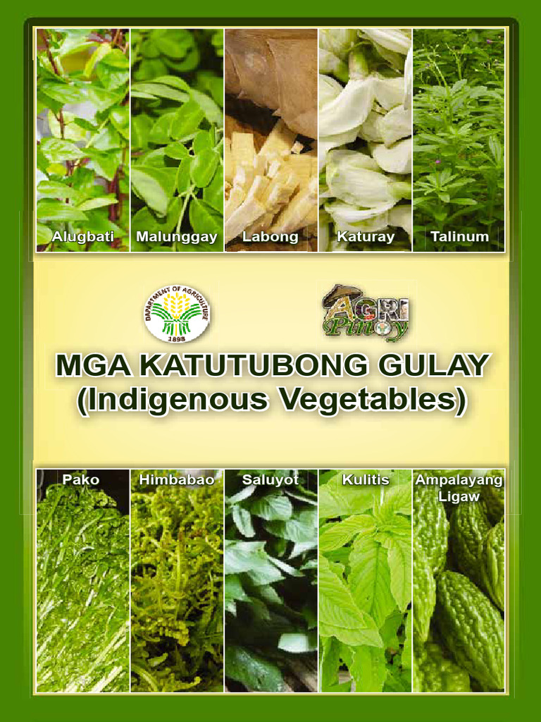 Indigenous Vegetables Guide | PDF