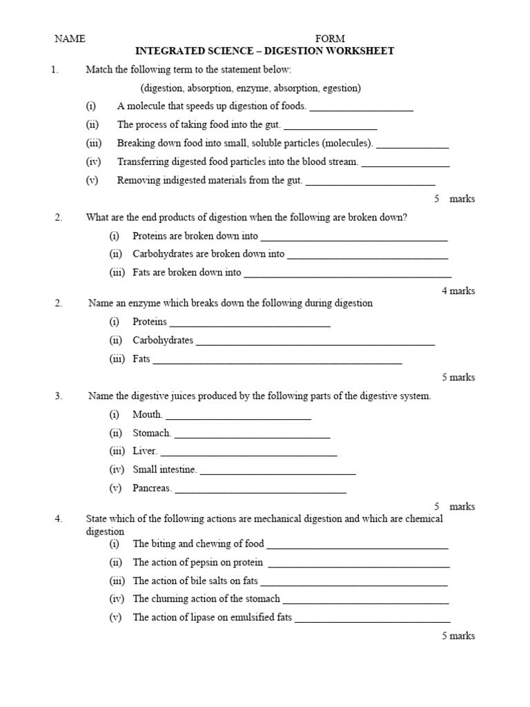 Digestion Worksheet | PDF | Digestion | Organ (Anatomy)