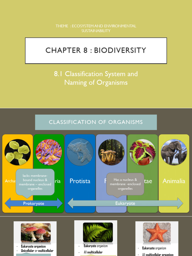 Biology - Biodiversity | PDF