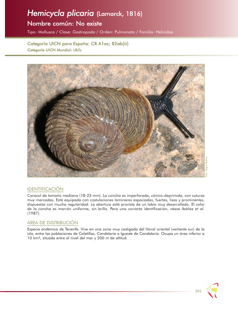 Hemicycla Plicaria tcm30-198171 | PDF | Movimiento conservacionista | Biología de la Conservación