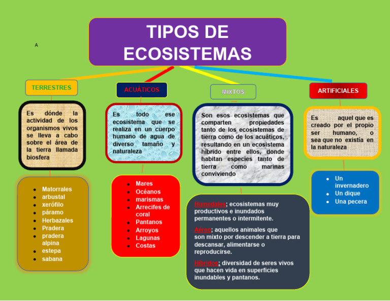 Tipos de Ecosistemas | PDF | Ecosistema | Humedal