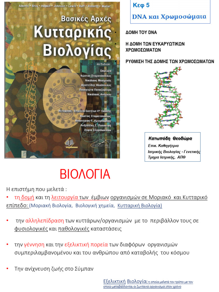 Cells | PDF