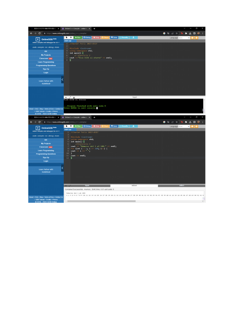 Pract D Prog Pdf
