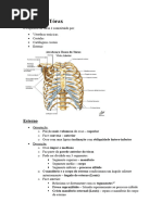 Anatomia da Caixa Torácica e Estruturas | PDF | Nervo | Tórax (anatomia ...