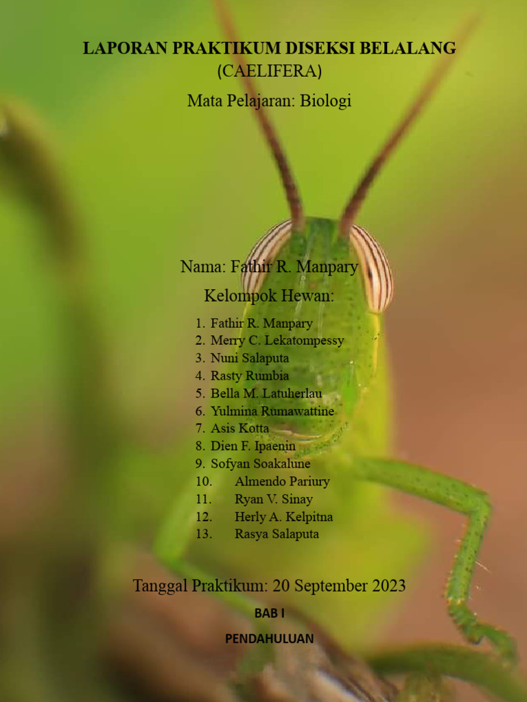 Contoh Laporan Praktikum Biologi Tentang DISEKSI BELALANG | PDF | Kesehatan Holistik | Sains ...