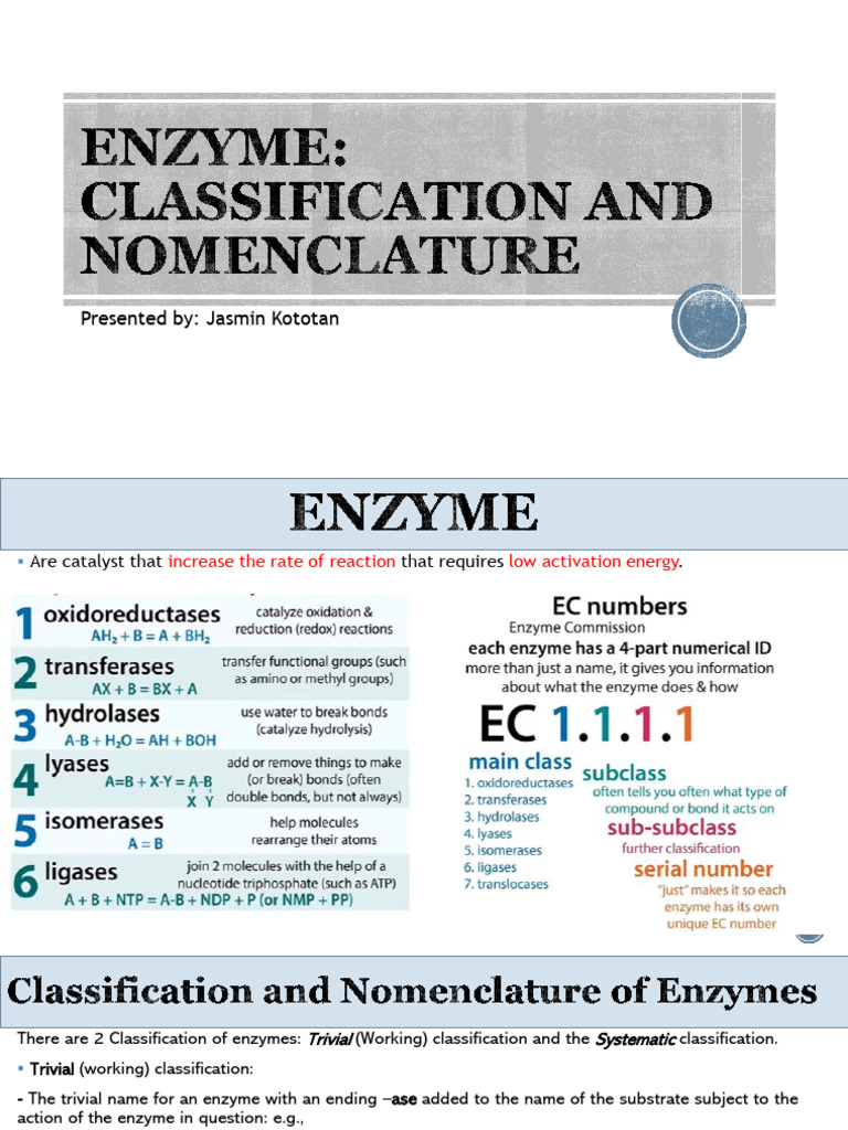 Enzyme Classification and Nomenclature (Jasmin) | PDF | Enzyme | Macromolecules