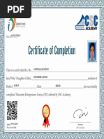 Basic Computer Certificate | PDF