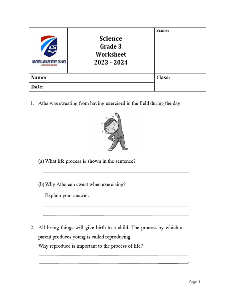 Revision Paper Grade 3 | PDF | Plants | Flowers