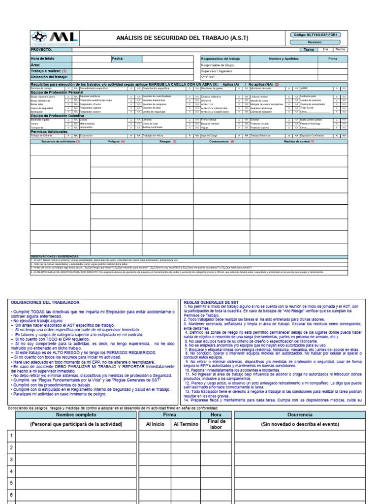 Formato Ast 01 - ML Tysg Sac | PDF