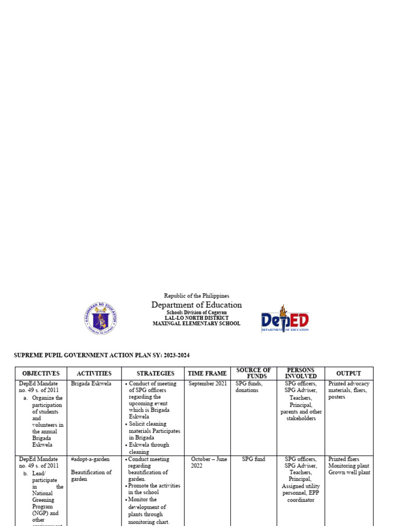 SPG Action Plan | PDF