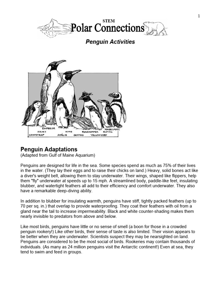 Penguin Activity | PDF