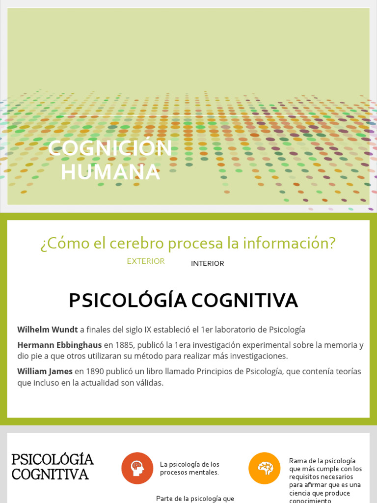 m1 Tema 3 Cognición Humana | PDF
