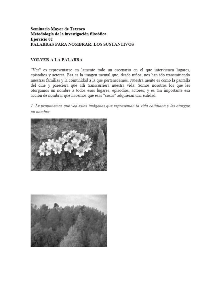 Gramatica 2 | PDF | Mente