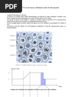 Schémas clés pour le Bac SVT Spécialité | PDF | Nerf | Neurone