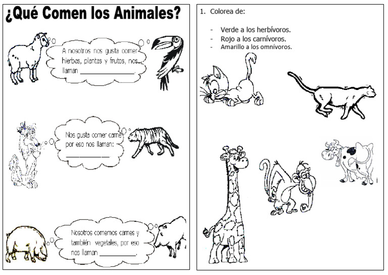CIENCIA Y TECNOLOGÍA Ficha Clasificacion de Los Animales | PDF