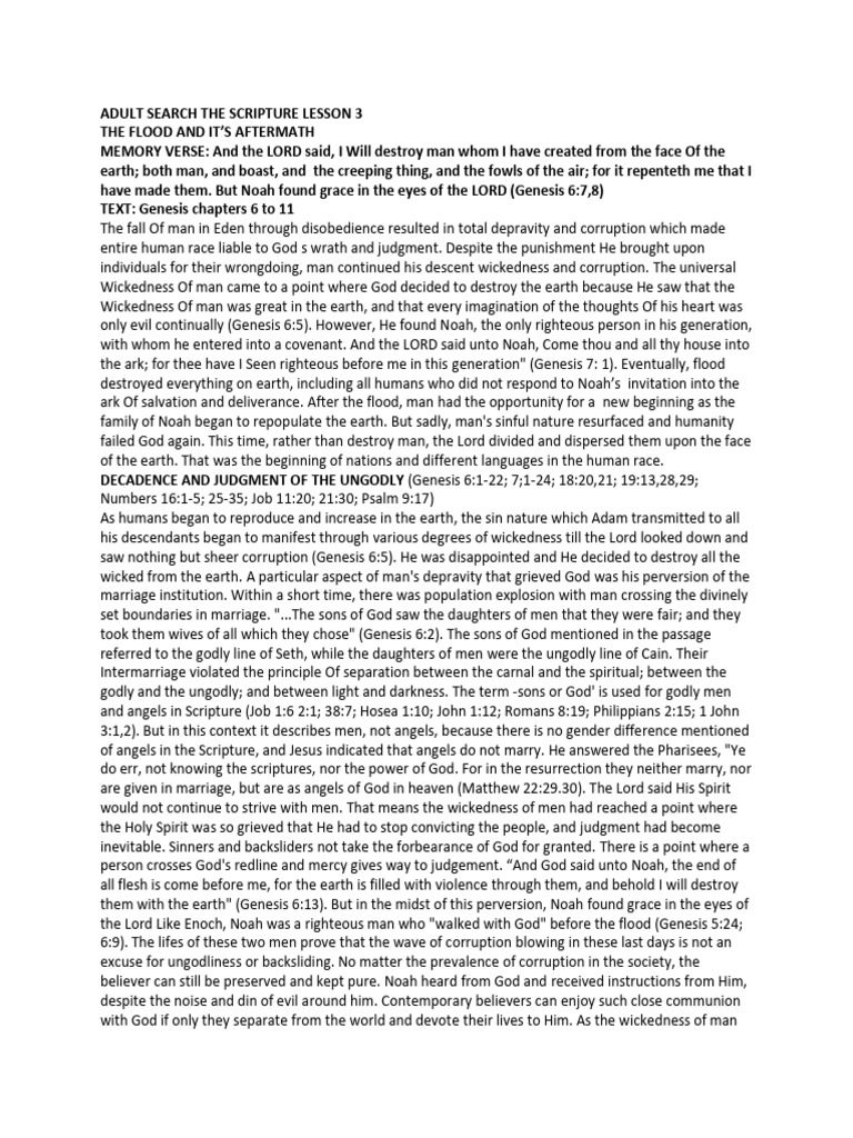 Adult STS Lesson 3 | PDF | Noah | Genesis Flood Narrative