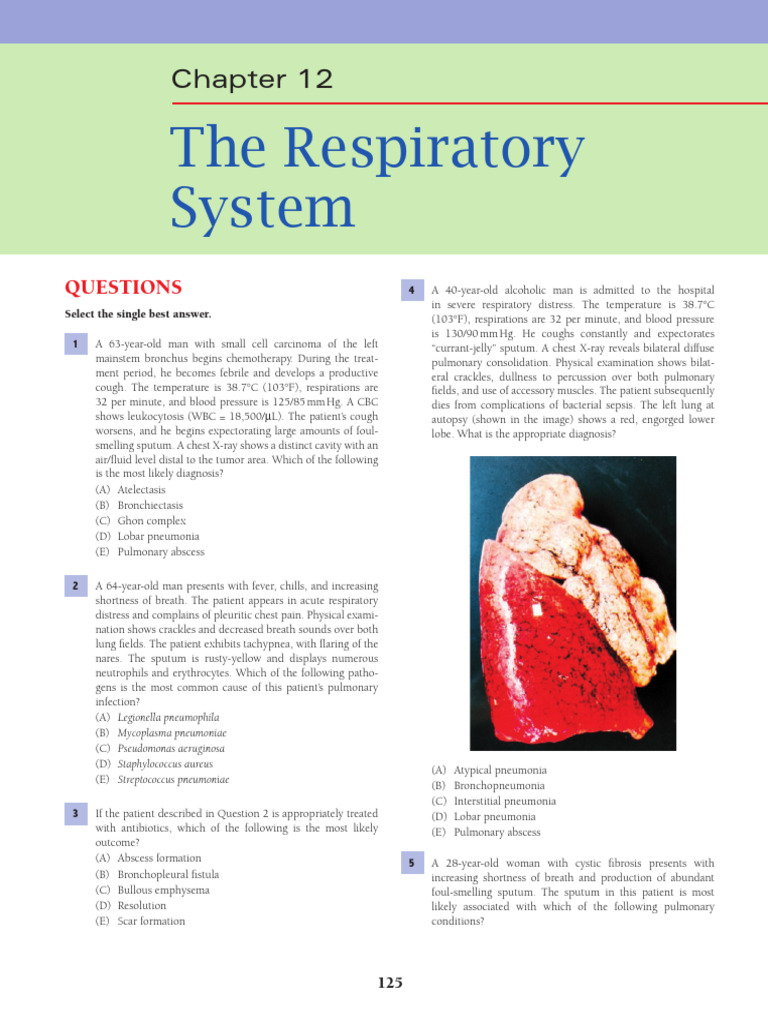 Lippincott Respiratory System Questions With Answers | PDF