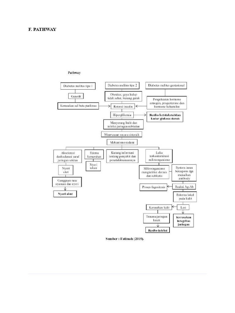 LP Pathway Komplikasi | PDF | Kesehatan Holistik