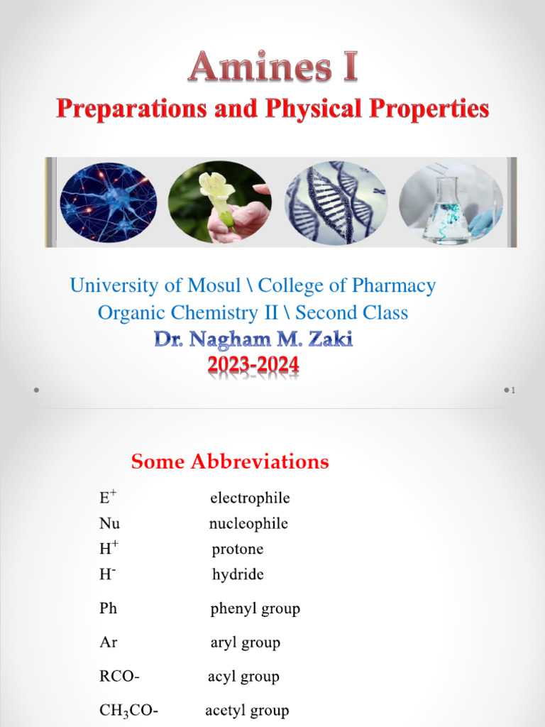 Amines I 2023 2024 | PDF | Amine | Chemistry