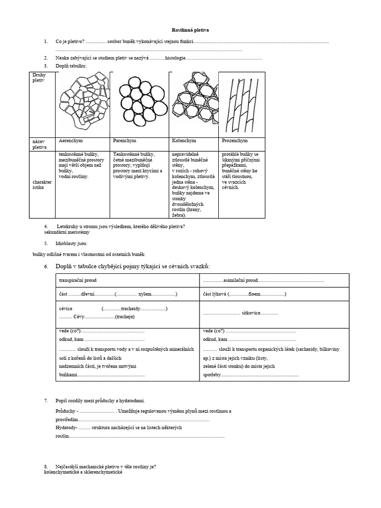 PL - Pletiva-Covid | PDF
