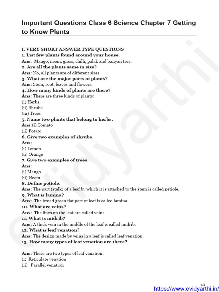 Important Question For Cbse Class 6 Science Chapter 7 Getting To Know ...