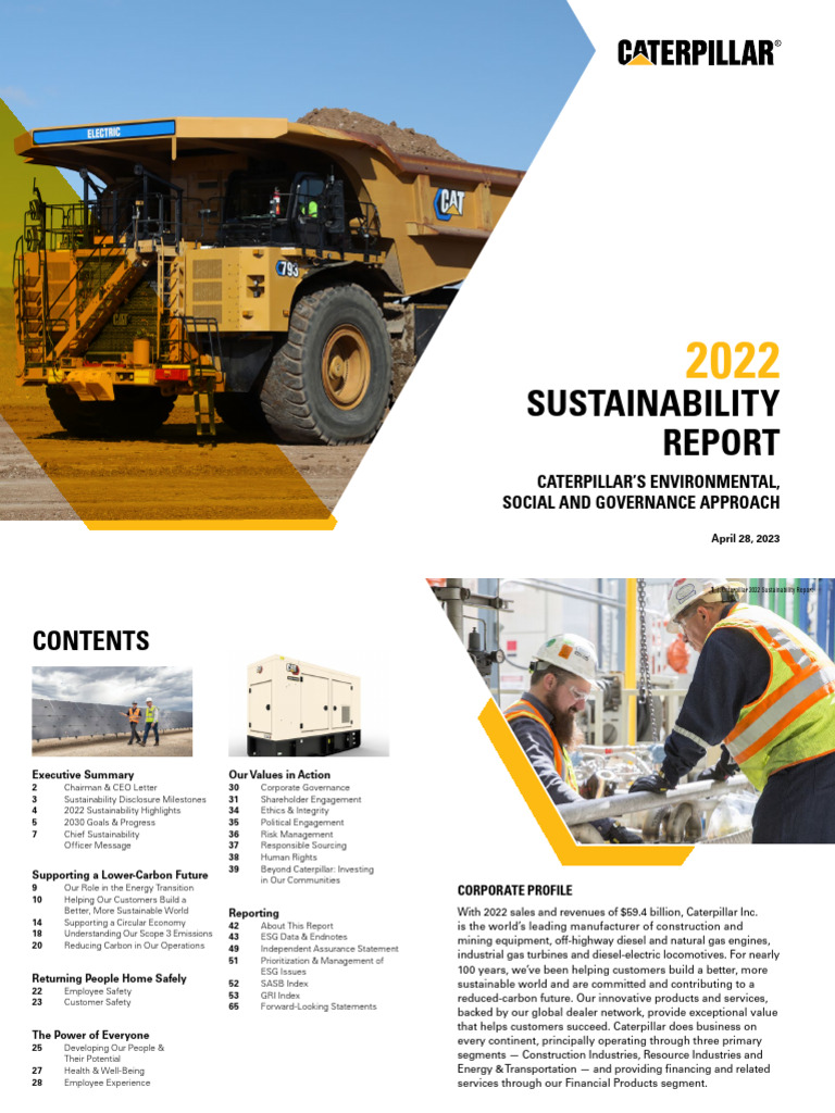CM Cat | PDF | Renewable Energy | Sustainability