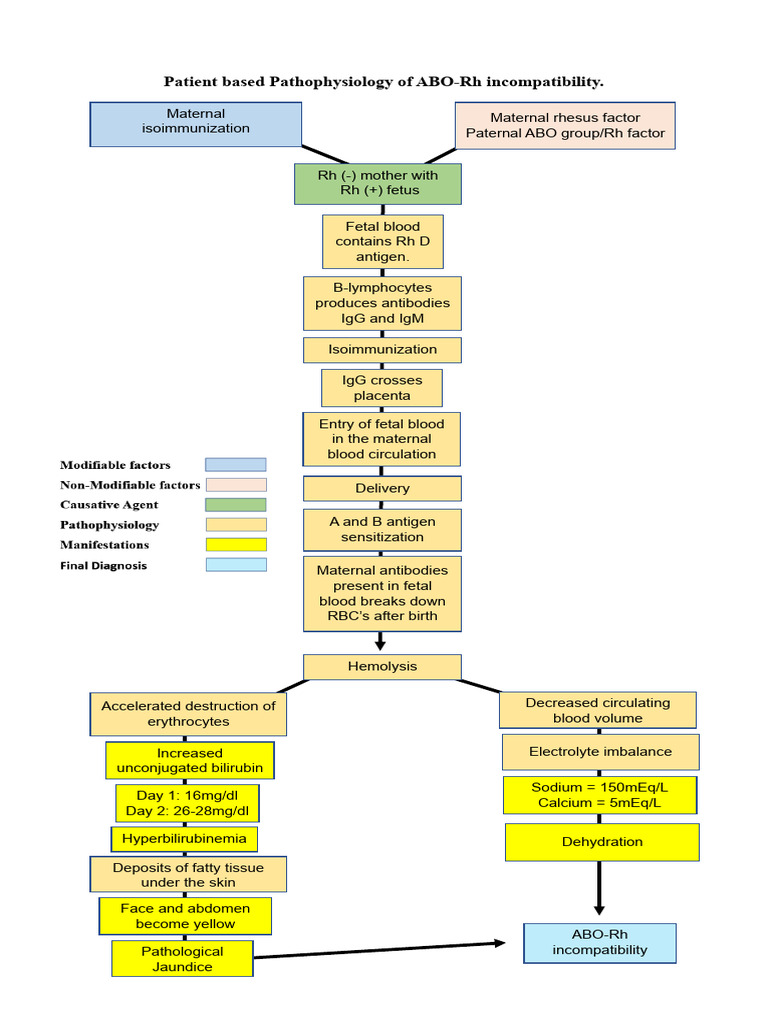 PATHOPHYSIOLOGY ABO-Rh Incompatibility | PDF
