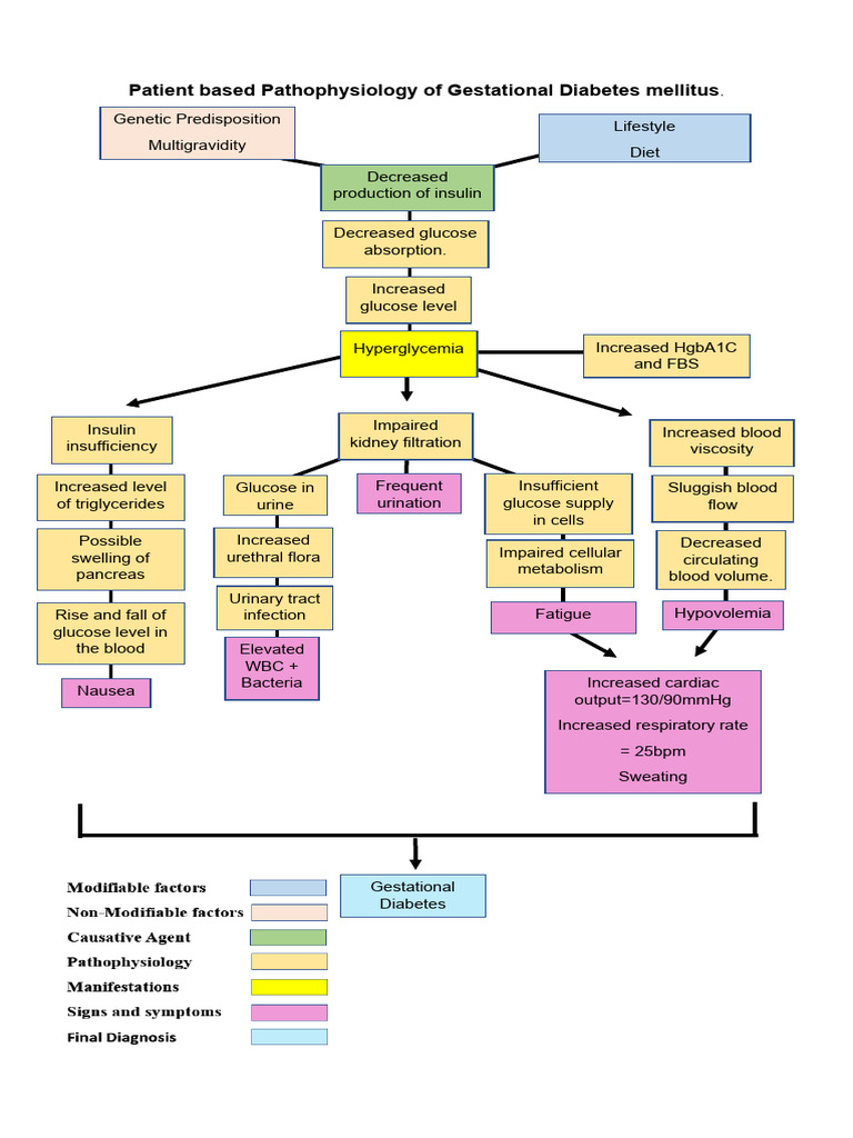 Pathophysiology of Gestational Diabetes | PDF | Diabetes | Gestational ...