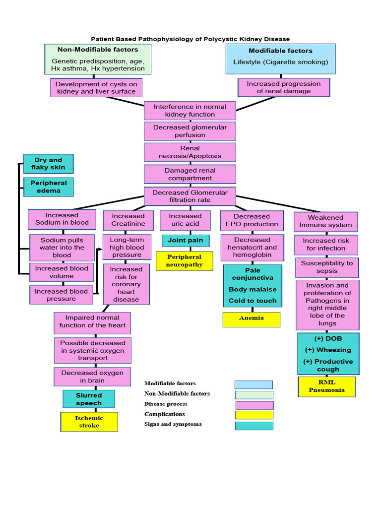Patient Based Pathophysiology of Polycystic Kidney Diseaseee | PDF ...