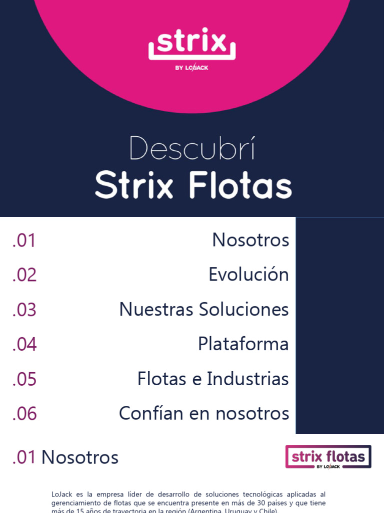 Presentación Strix Flotas - Arg | PDF