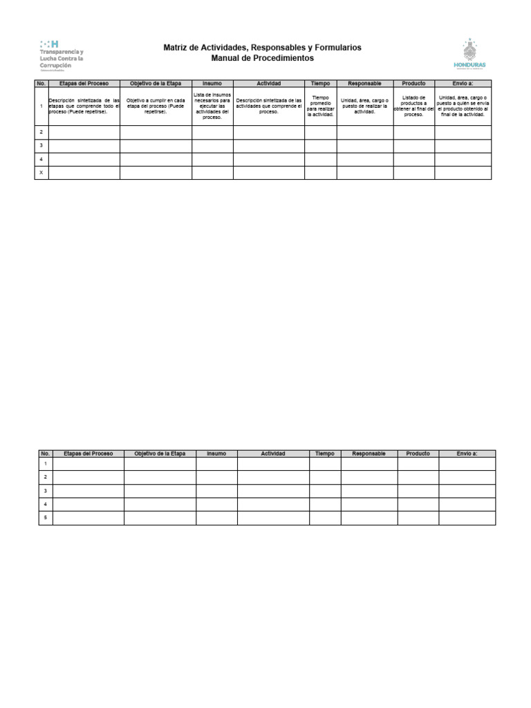 Plantilla de Matriz de Actividades Responsables y Formularios | PDF ...