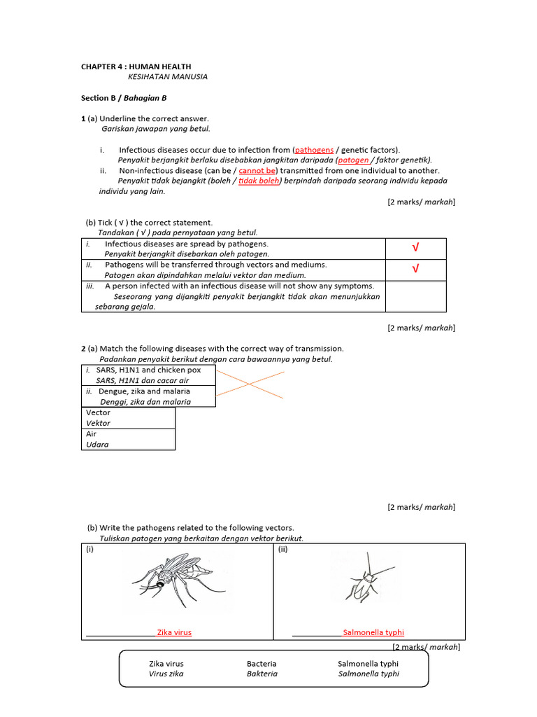 CHAPTER 4 SAINS TING 2 Skema JWPN | PDF