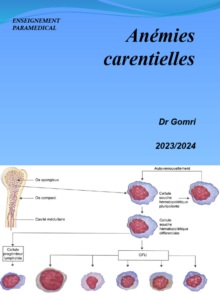 Anémies Carentielles: Guide Paramédical | PDF | Anémie | Vitamine B12