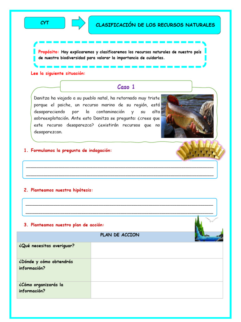 FICHA CYT CLASIFICACIÓN DE RECURSOS NATURALES | PDF
