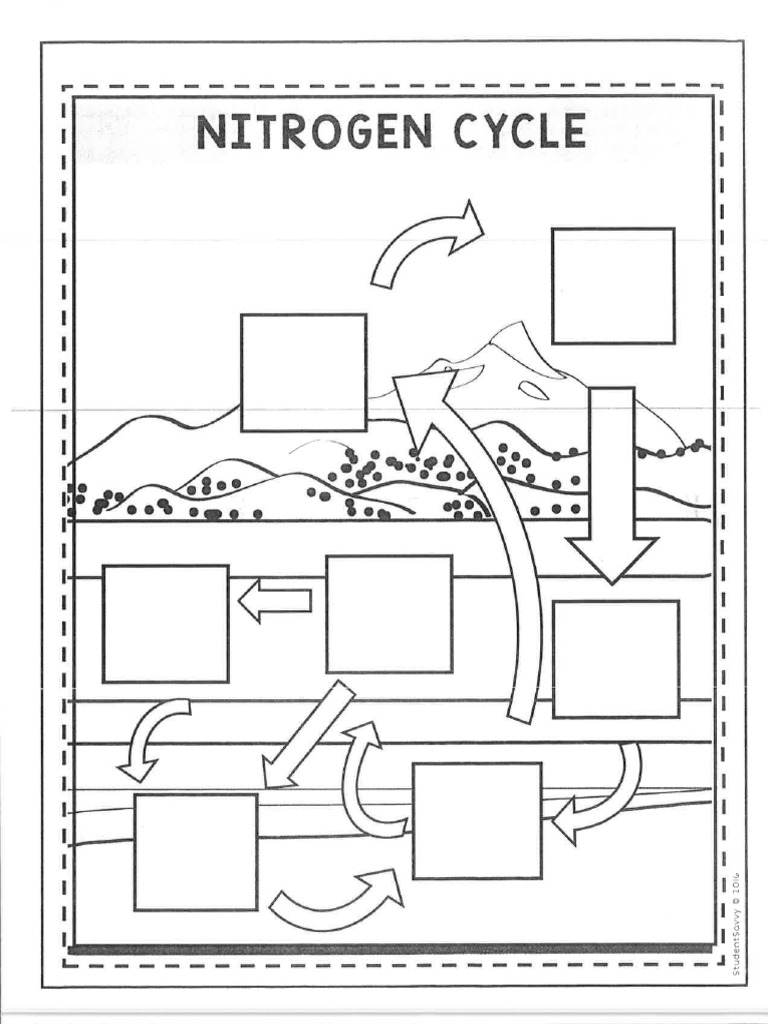 Nitrogen Cycle Flipbook | PDF