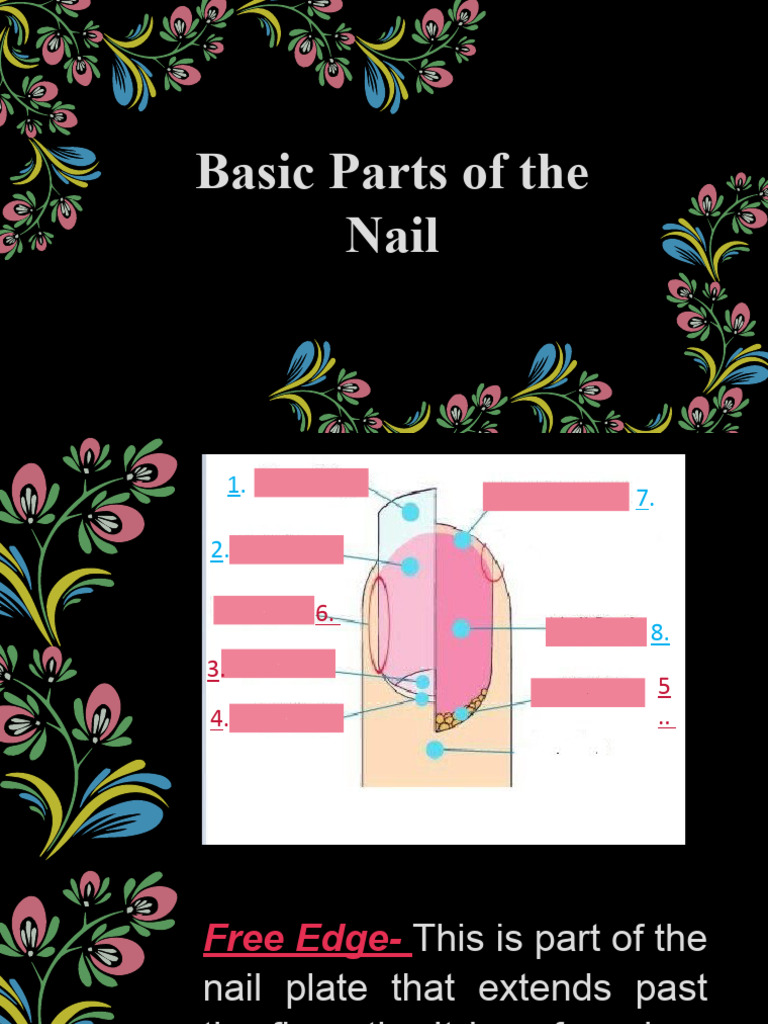 PPT. Basic Nail Parts | PDF
