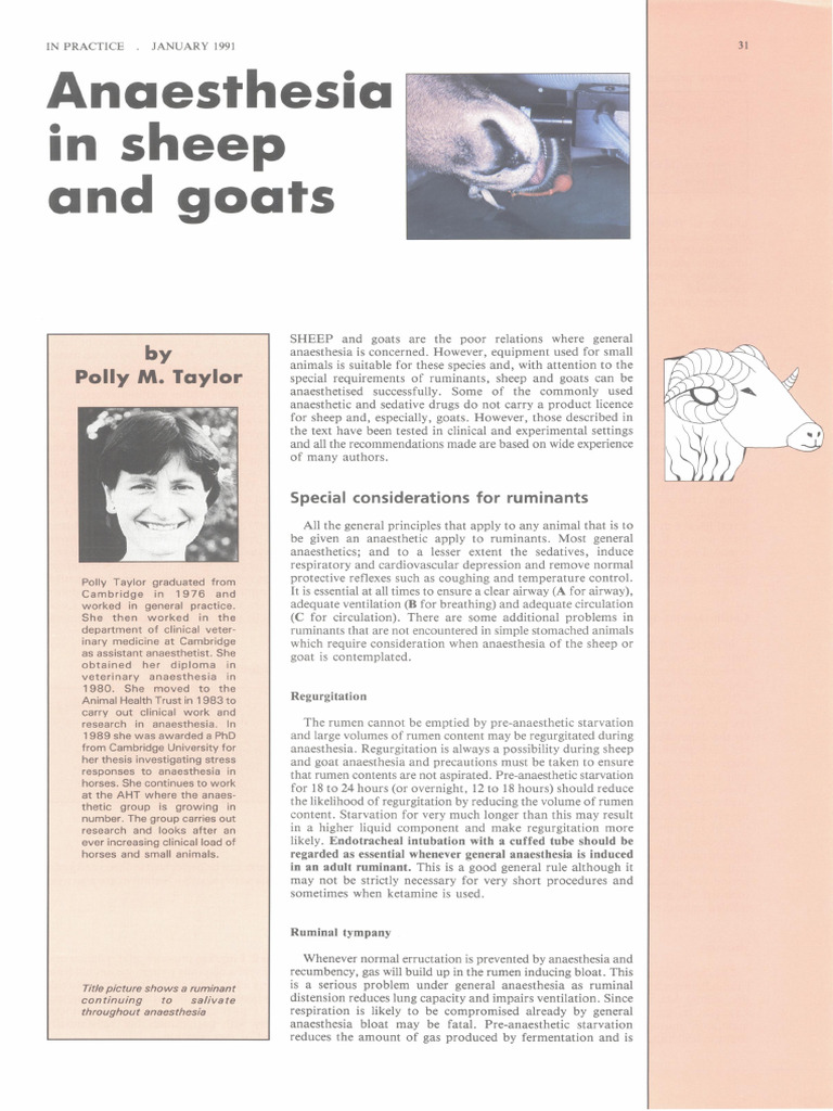 Anaesthesia Sheeps and Goats | PDF | Anesthesia | Analgesic